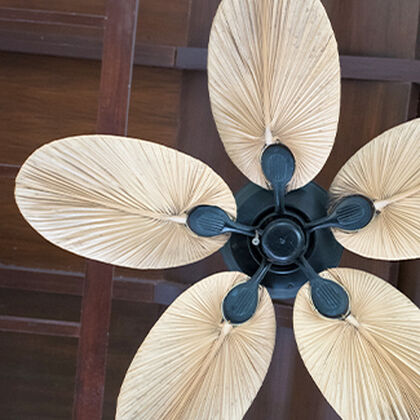 Canarm Ceiling Fans - Indoor, Outdoor, Bath & More
